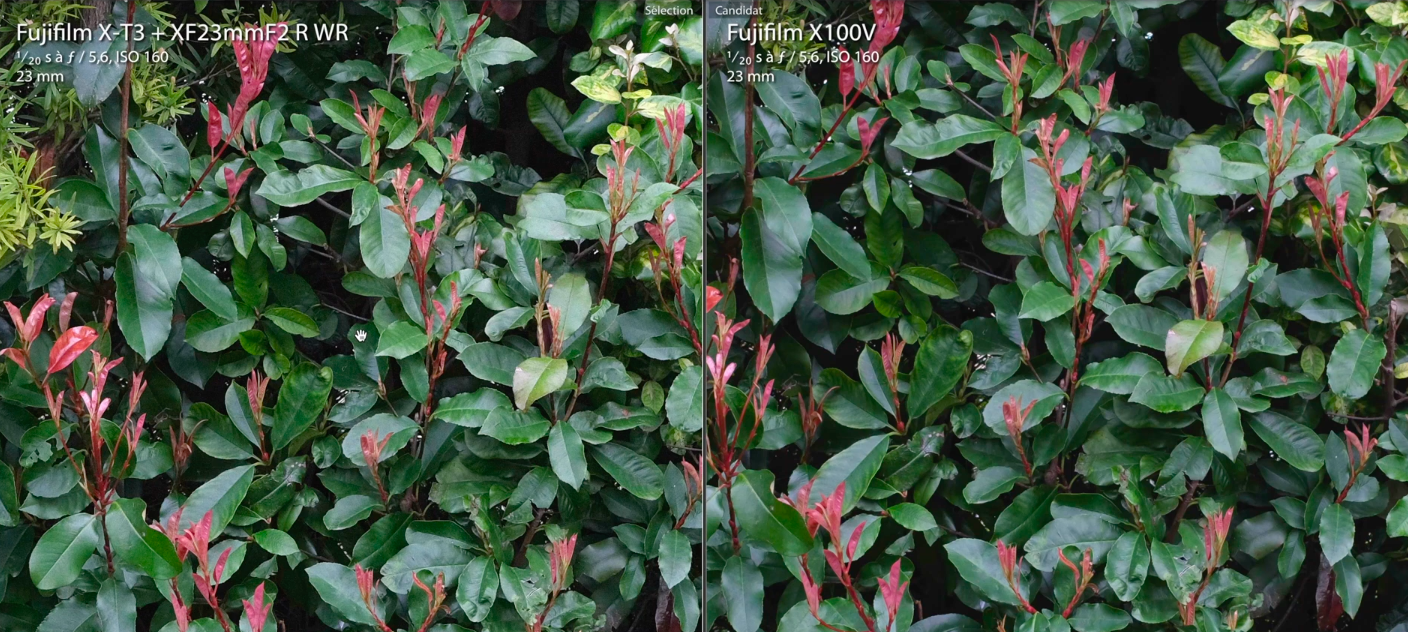 Fujifilm X100v vs XF23 f2 : Comparatif rapide